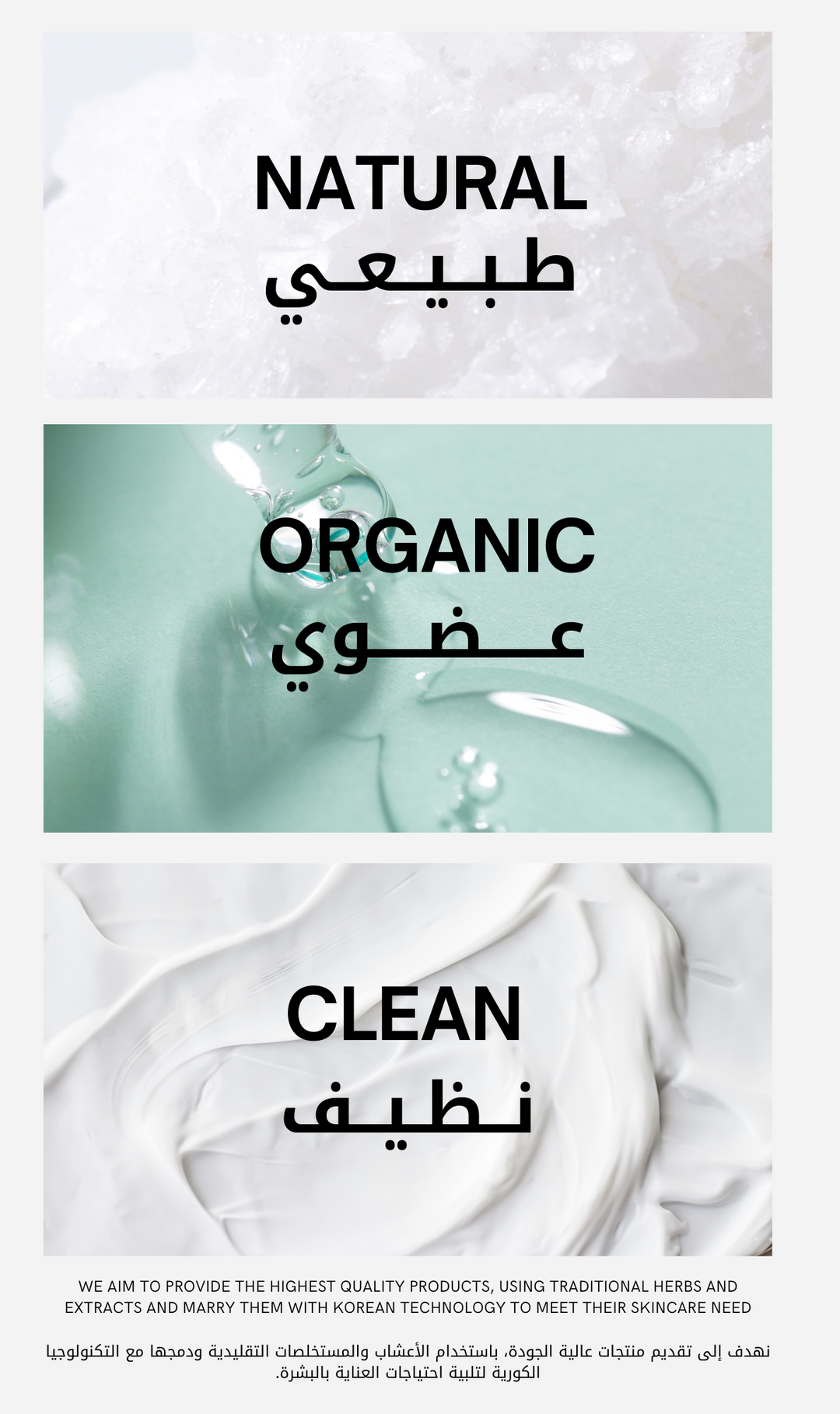 The Face Shop Kuwait - Clean Beauty
